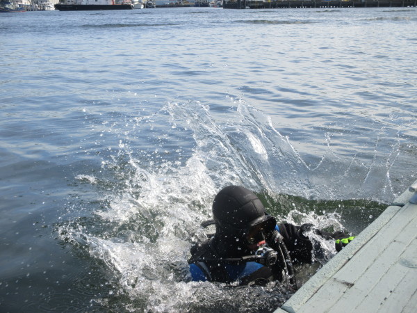 Puget Sound Dive, Sterling Marine Services, Seattle Divers, NW ...